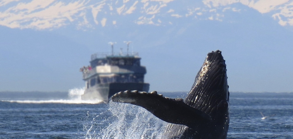 12 NAJPIĘKNIEJSZYCH miejsc na Alasce | Niceland